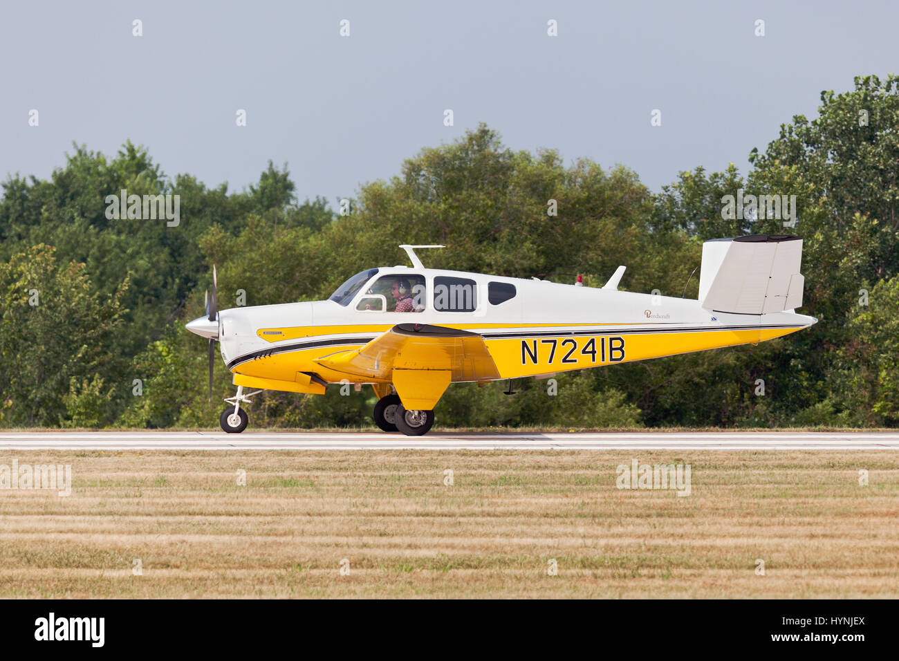 Beech bonanza hi-res stock photography and images - Alamy