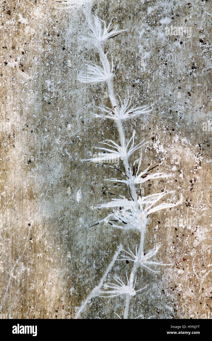 Ghost markings hi-res stock photography and images - Alamy