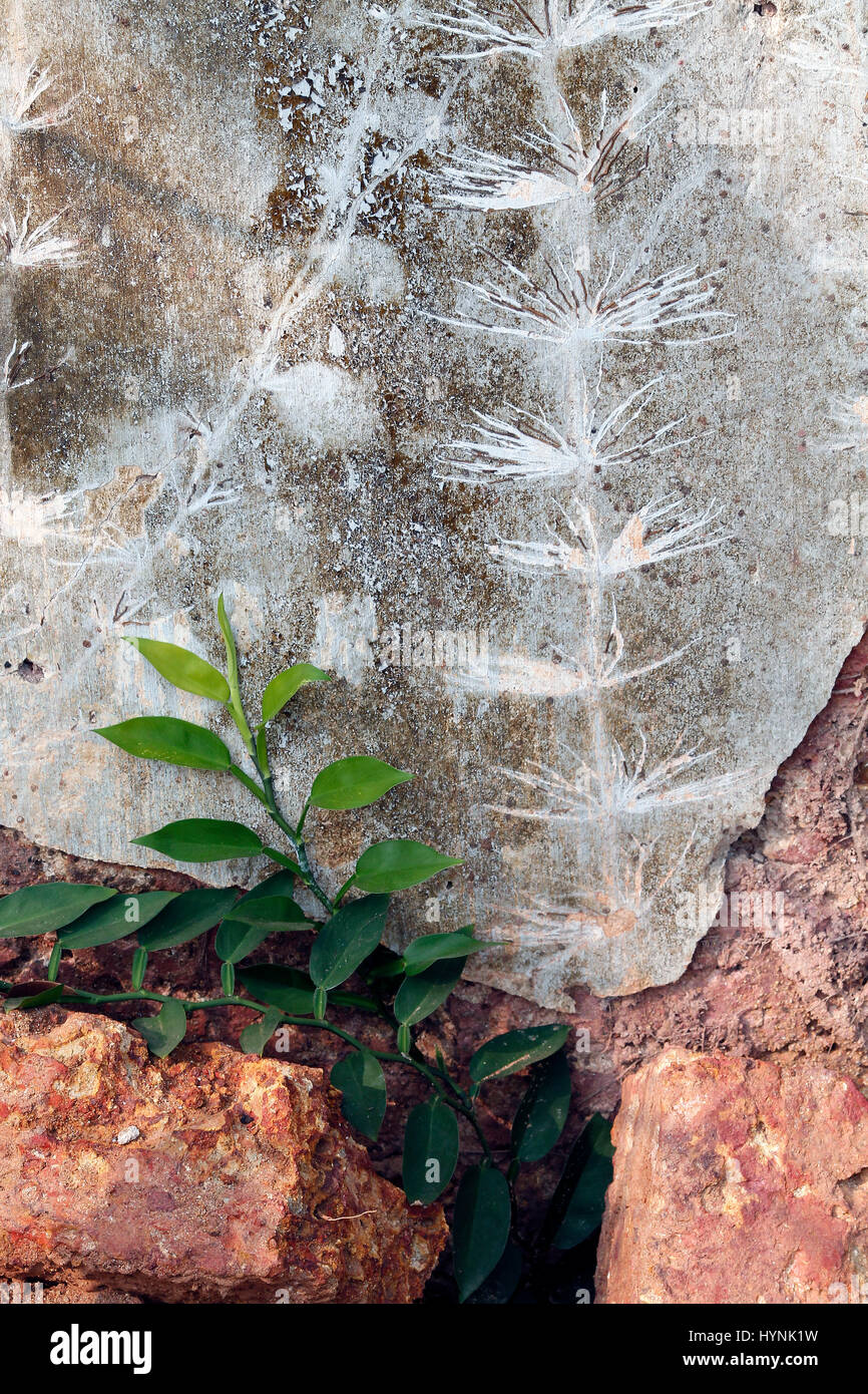 Foot markings hi-res stock photography and images - Alamy