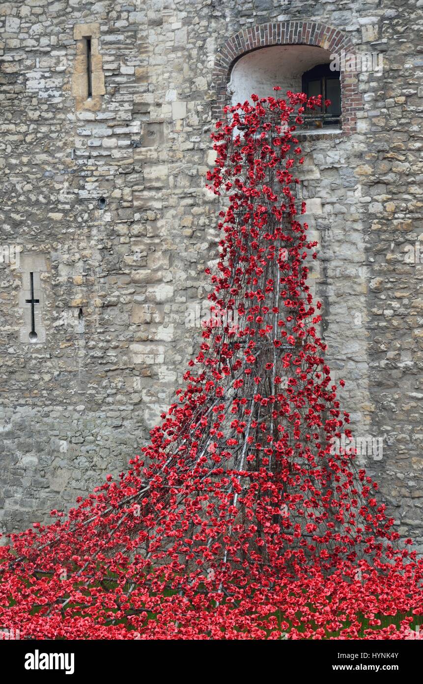 TOWER of LONDON UK Remembrance poppies flowing from window at tower ...