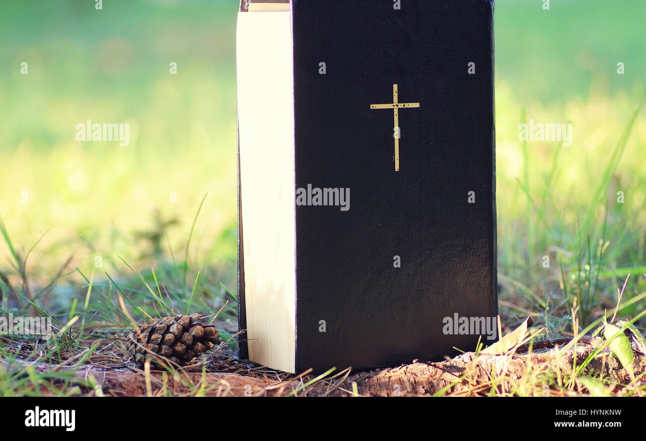book with cross in nature Stock Photo - Alamy