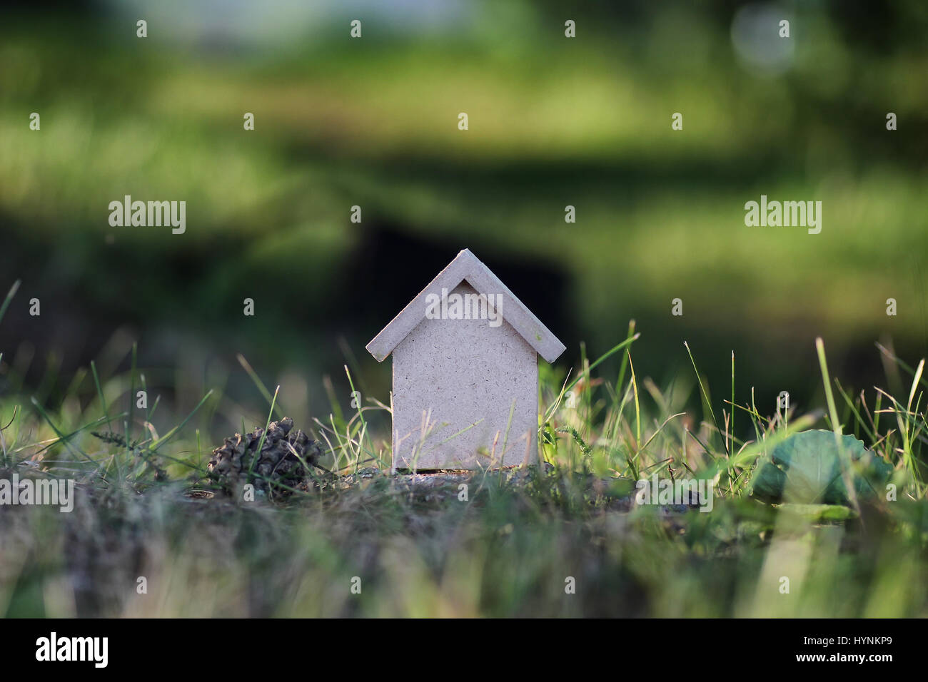figure house in nature Stock Photo - Alamy