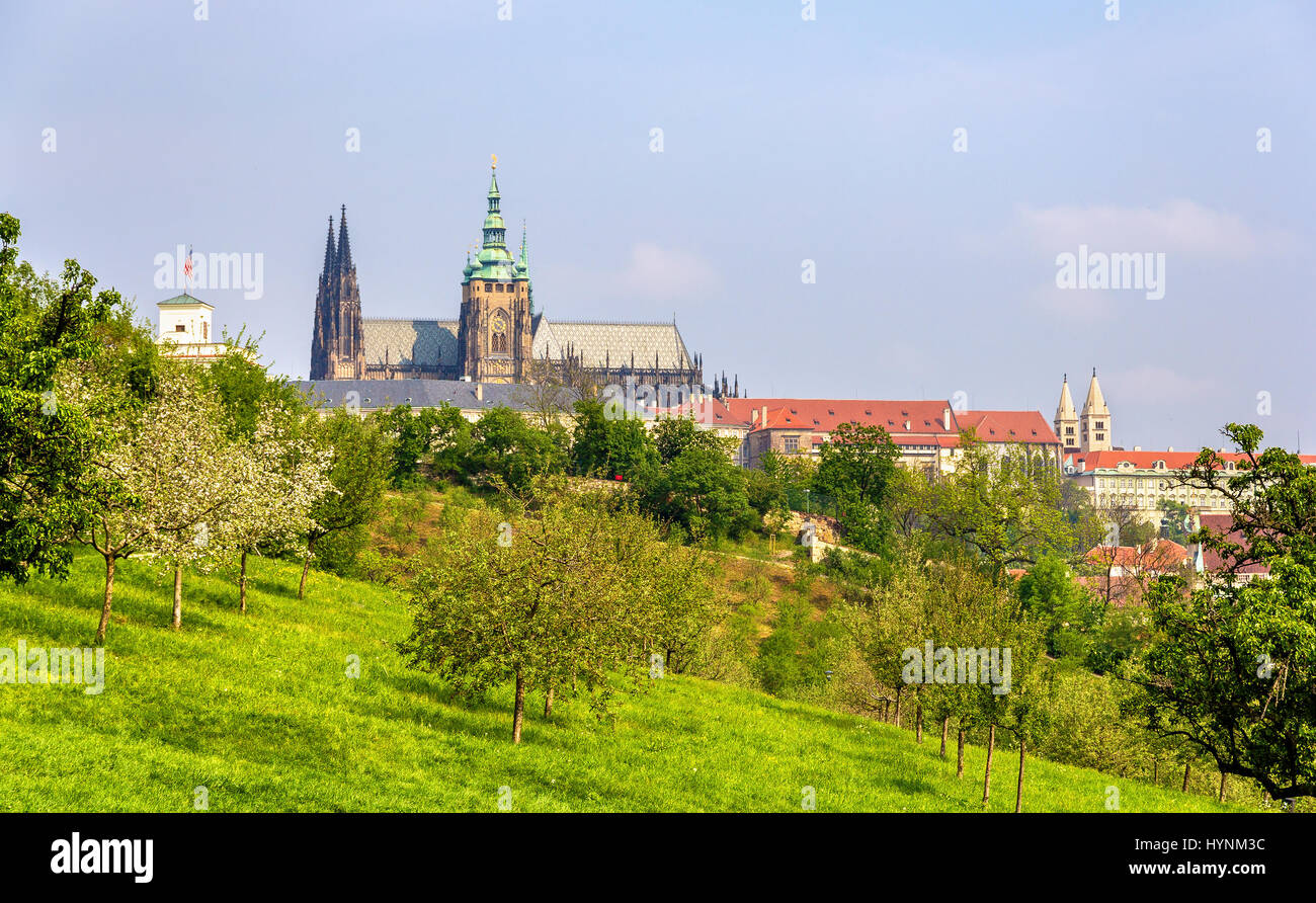 View of Prazsky hrad castle - Czech republic Stock Photo - Alamy