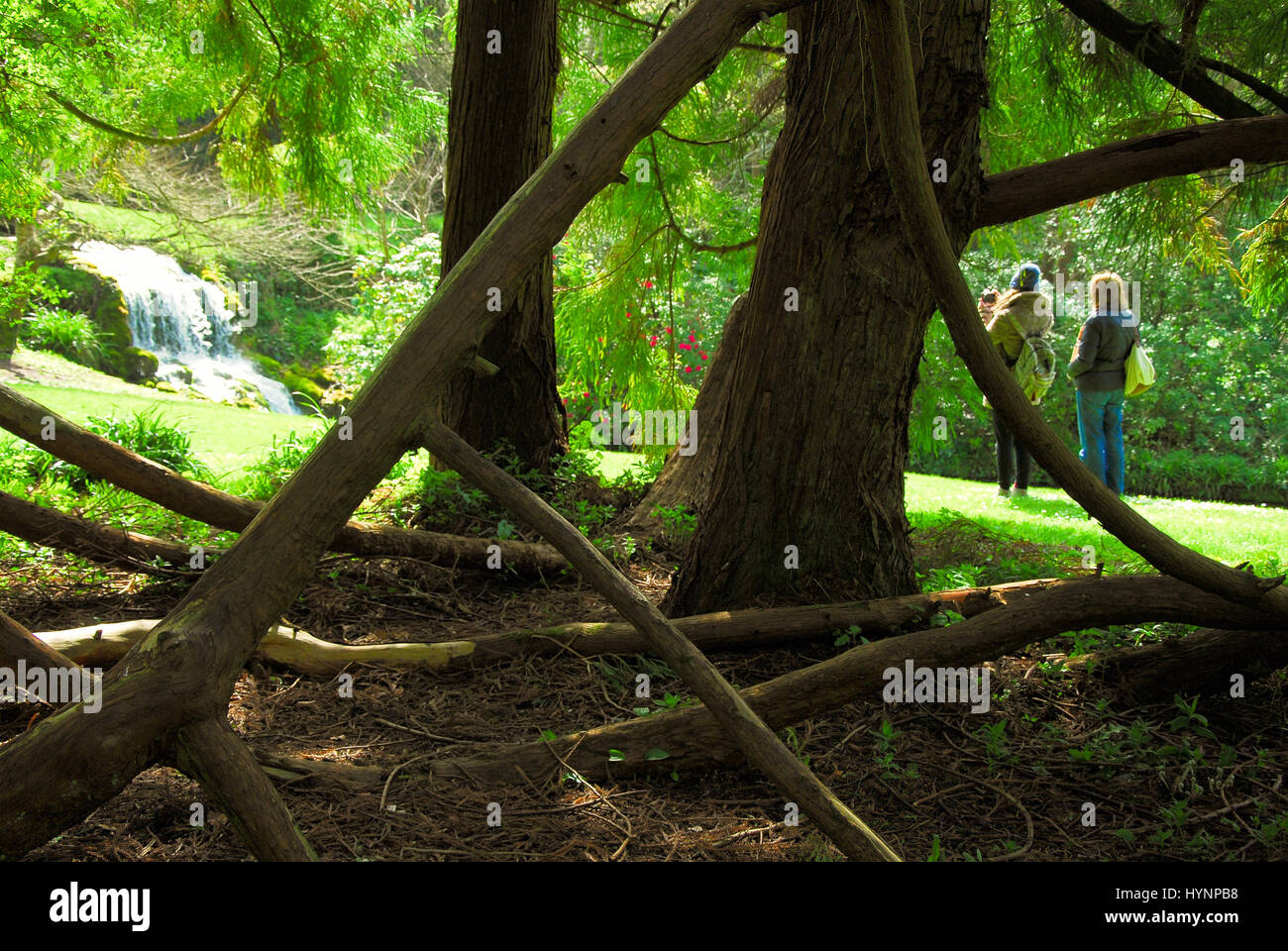 Little Bredy, Dorset, UK. 5th April, 2017. UK weather. The cascade in ...