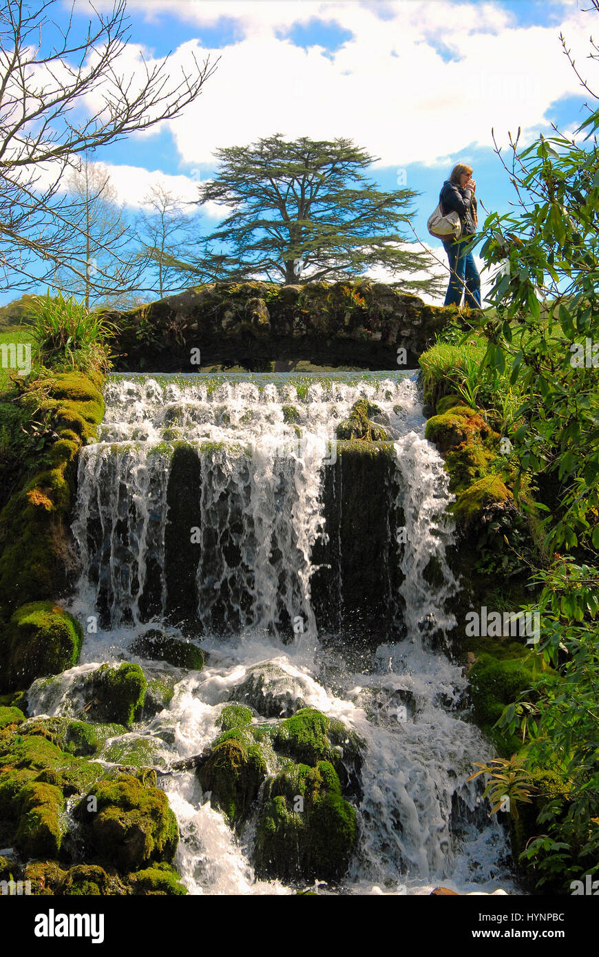 Little Bredy, Dorset, UK. 5th April, 2017. UK weather. The cascade in ...