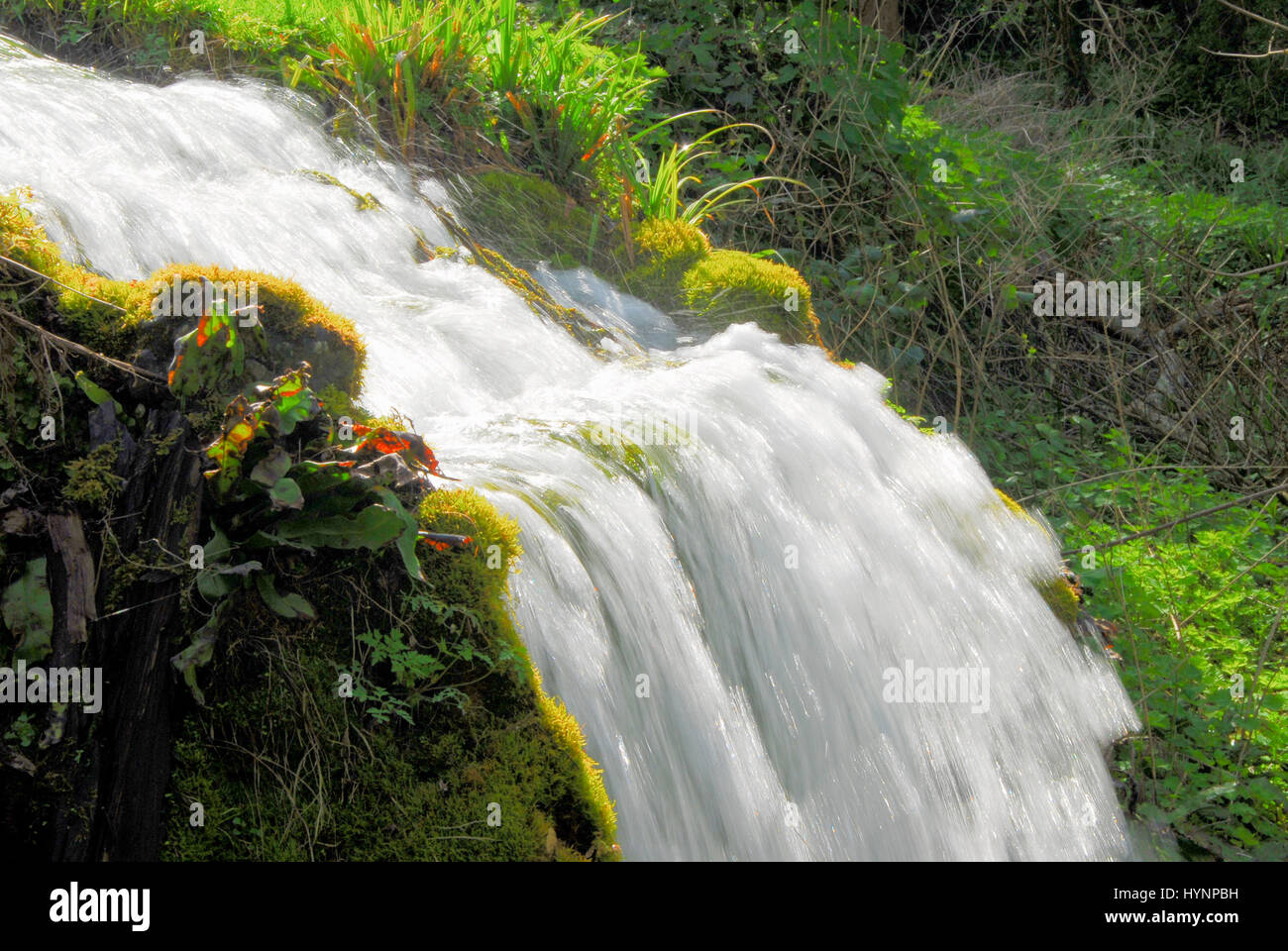 Little Bredy Dorset High Resolution Stock Photography and Images - Alamy