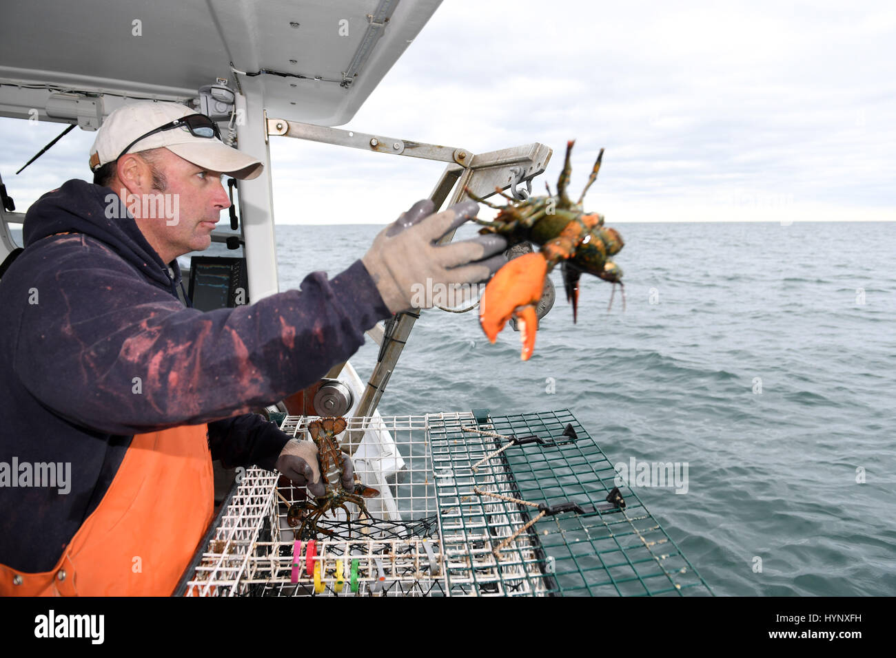 Maine, USA. 29th Mar, 2017. Gerry Cushman, a six-generation lobsterman ...