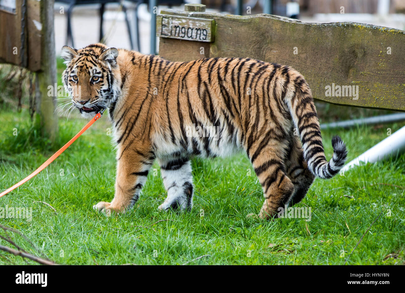 Mother elsa hi-res stock photography and images - Alamy