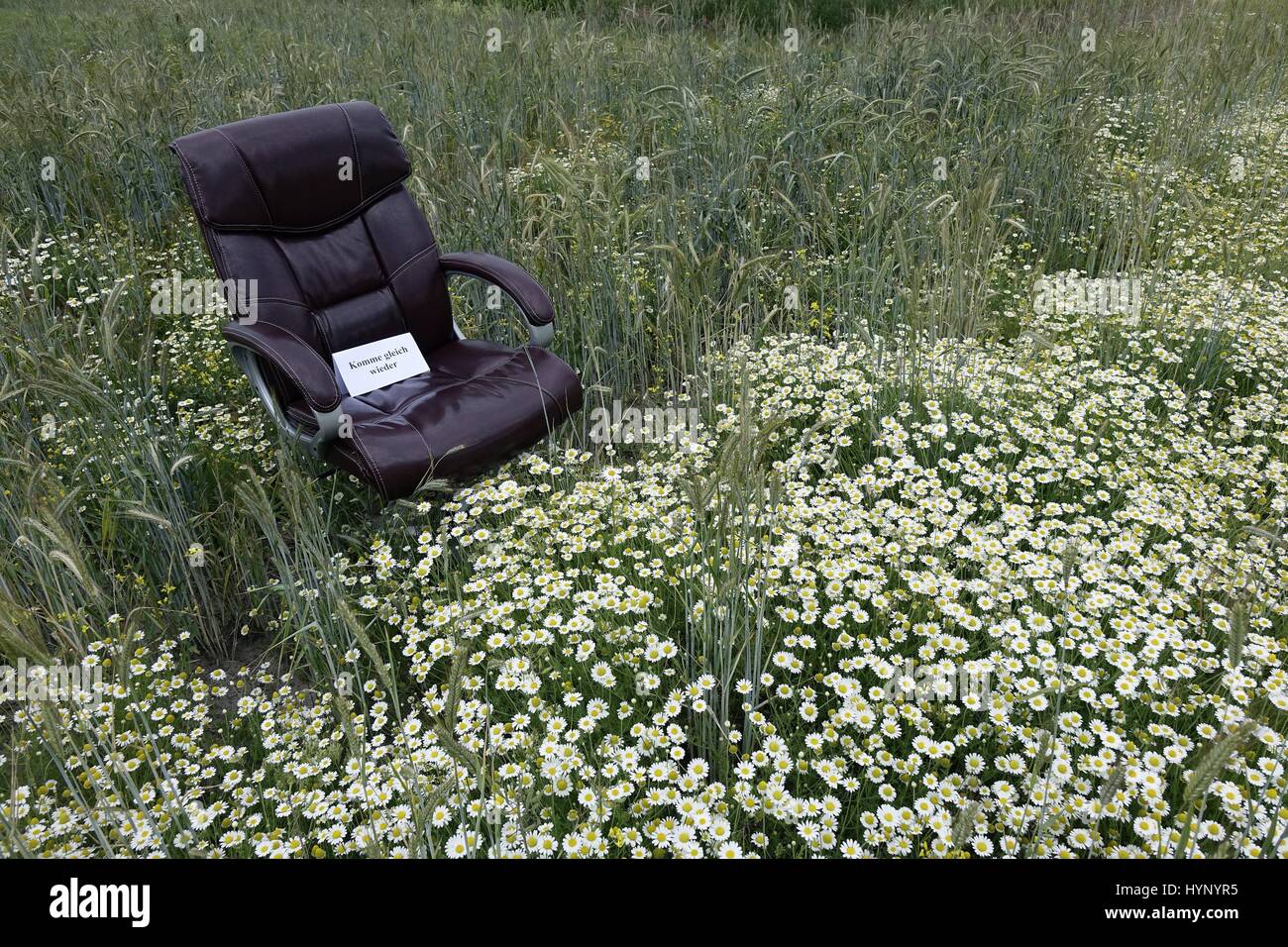 Abandoned chair on a meadow hi-res stock photography and images - Alamy
