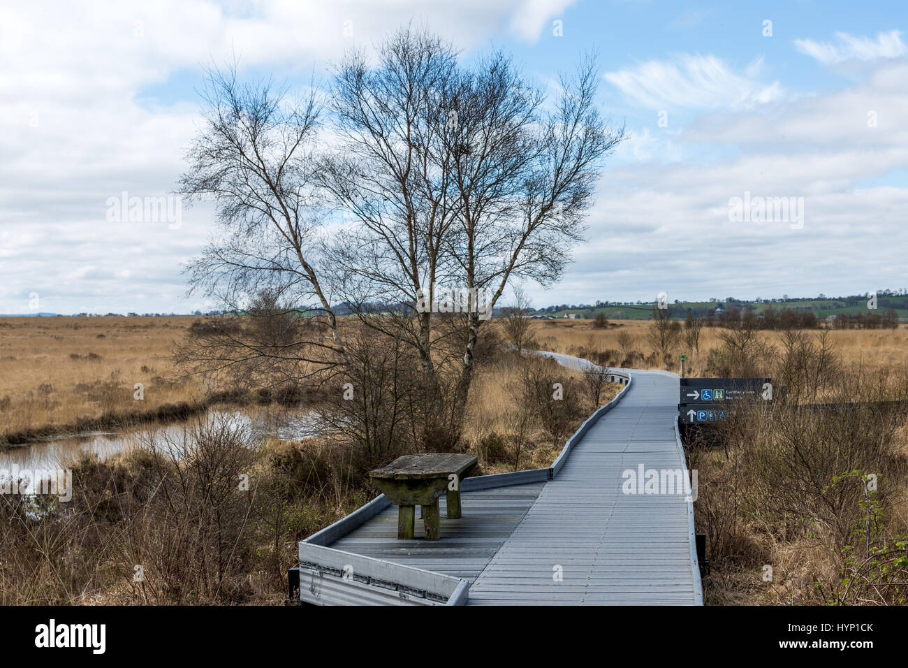 Cors Caron National Nature Reserve near Tregaron in Mid Wales. The site ...