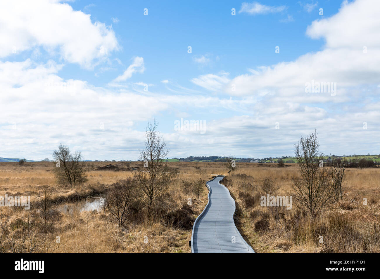 Cors Caron National Nature Reserve near Tregaron in Mid Wales. The site ...