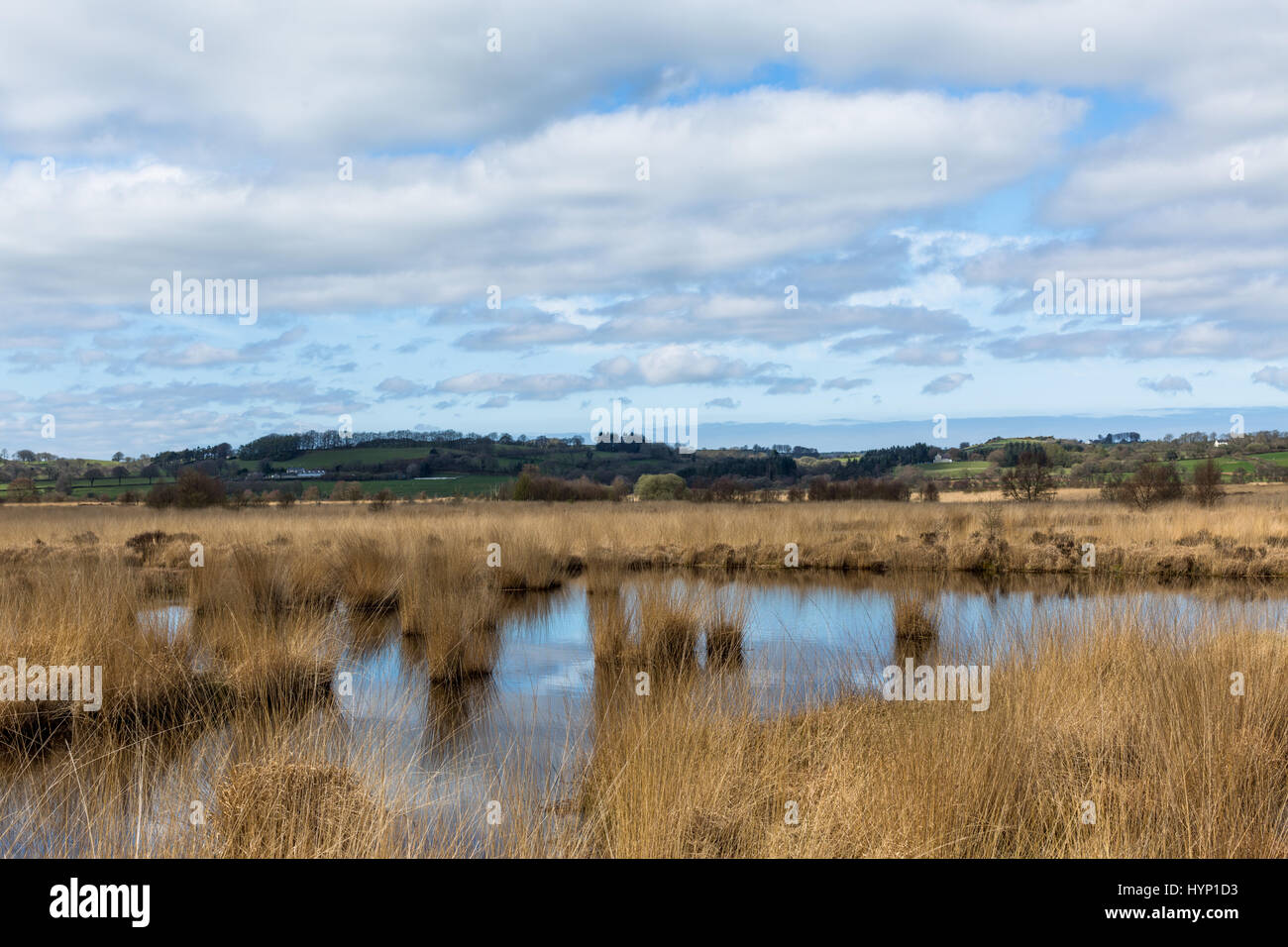 Tregaron And Teifi High Resolution Stock Photography and Images - Alamy