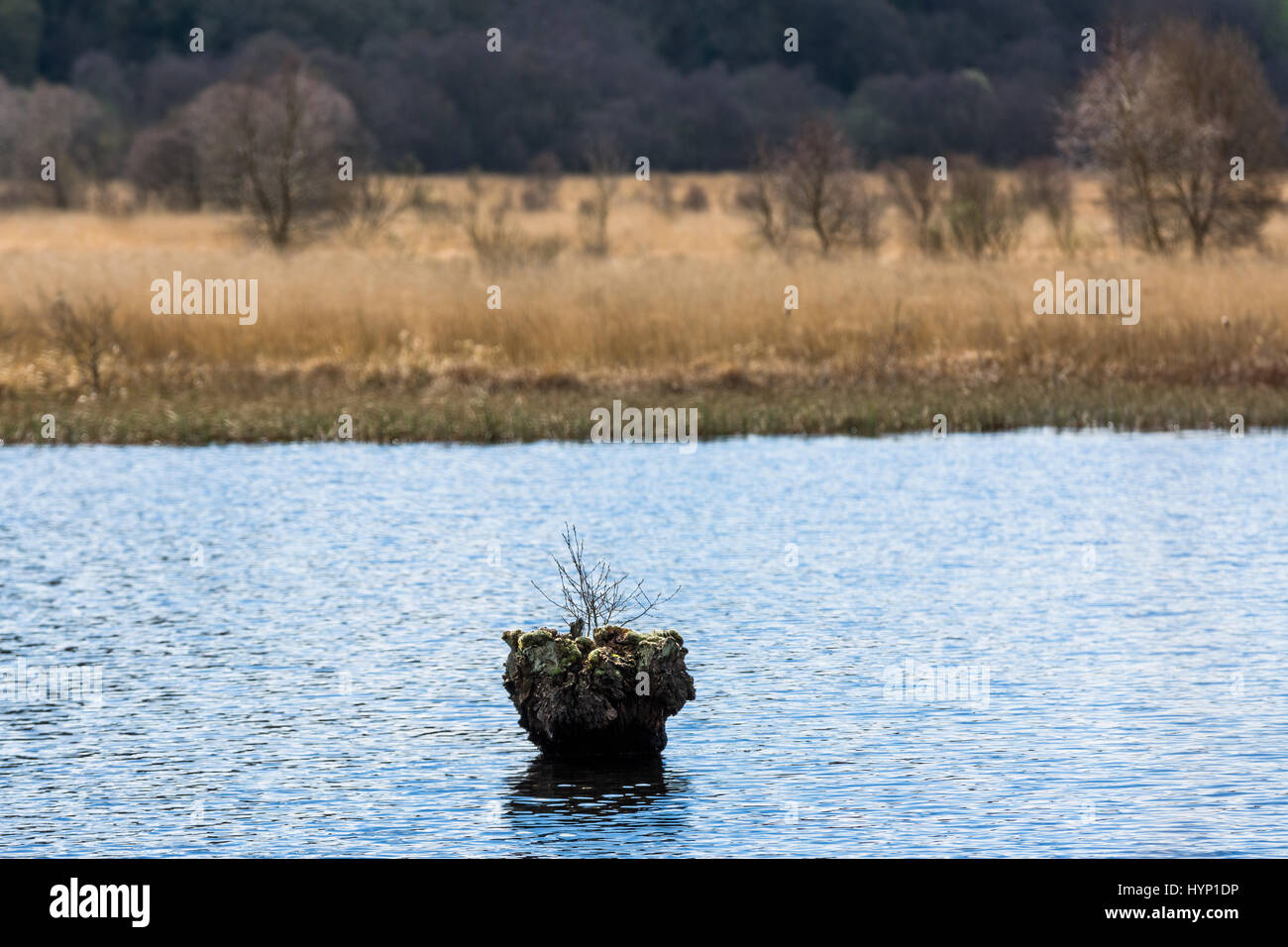 Cors caron wetland nature reserve hi-res stock photography and images ...