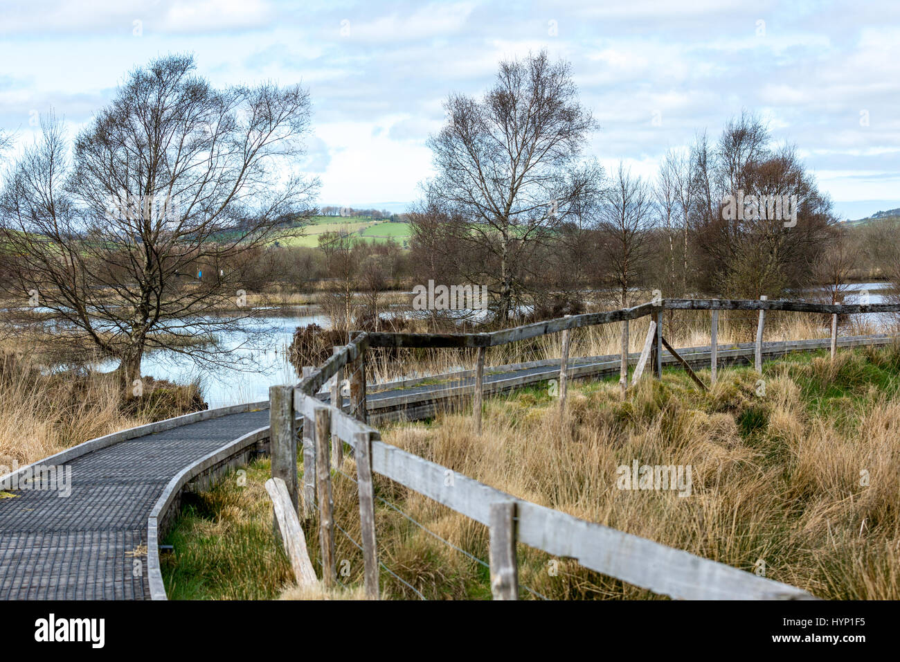 Cors Caron National Nature Reserve near Tregaron in Mid Wales. The site ...