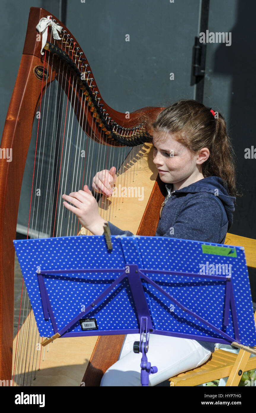 Harp busker girl busking in Cambridge England UK Stock Photo - Alamy