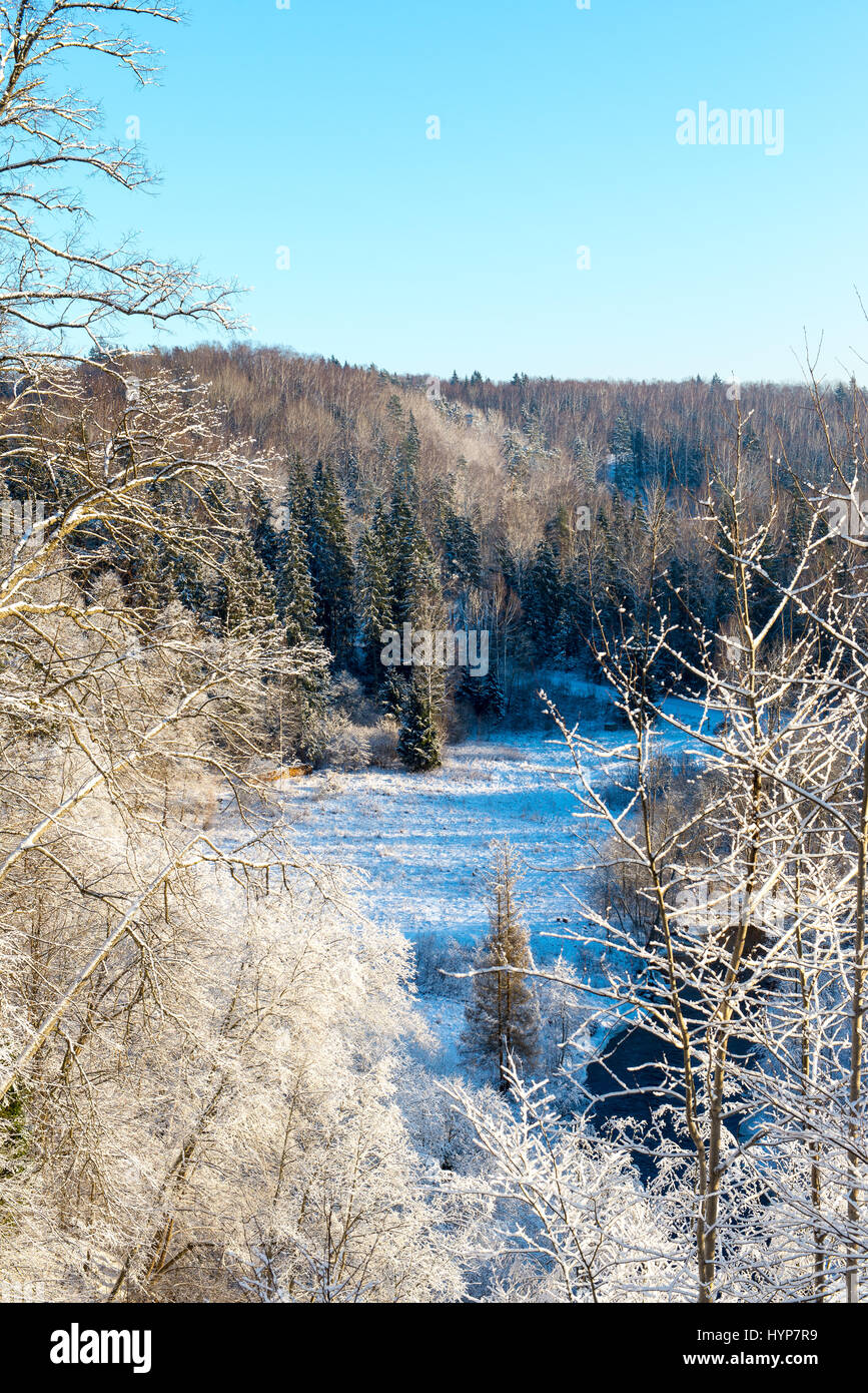snowy winter landscape with snow covered trees and blue sky Stock Photo ...