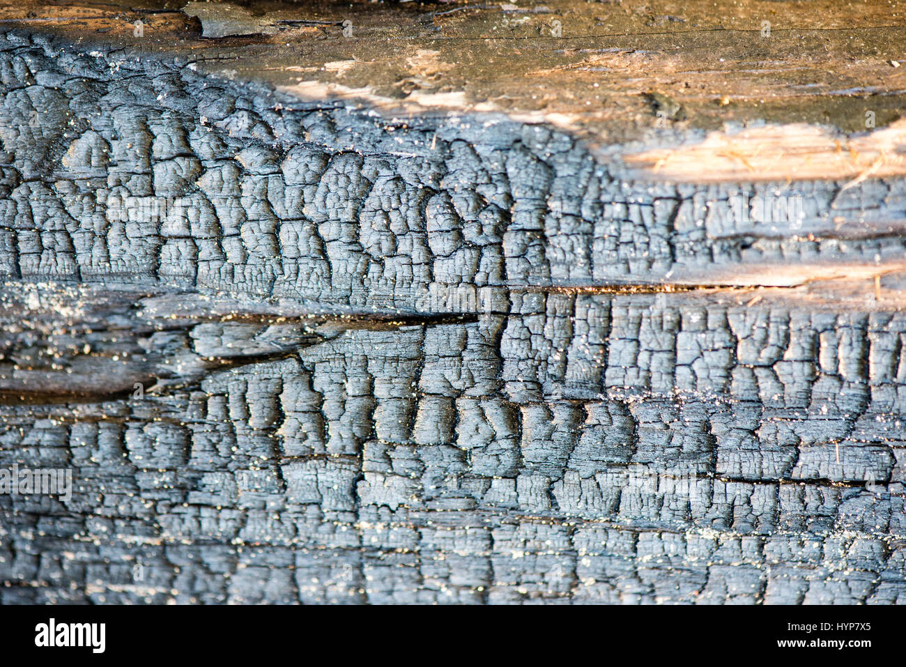 old dry burned wooden planks with shadows from sun Stock Photo - Alamy