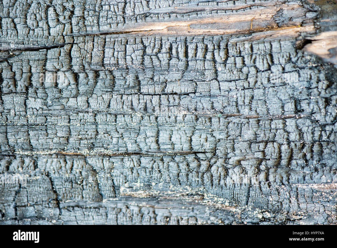 old dry burned wooden planks with shadows from sun Stock Photo - Alamy