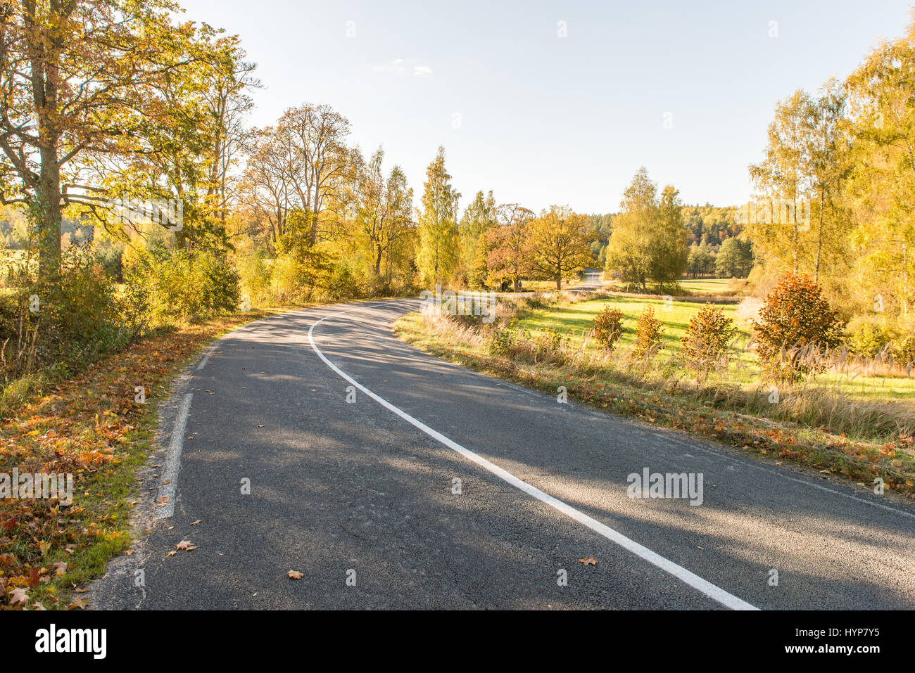 empty road in the countryside with trees in surrounding. perspective in ...