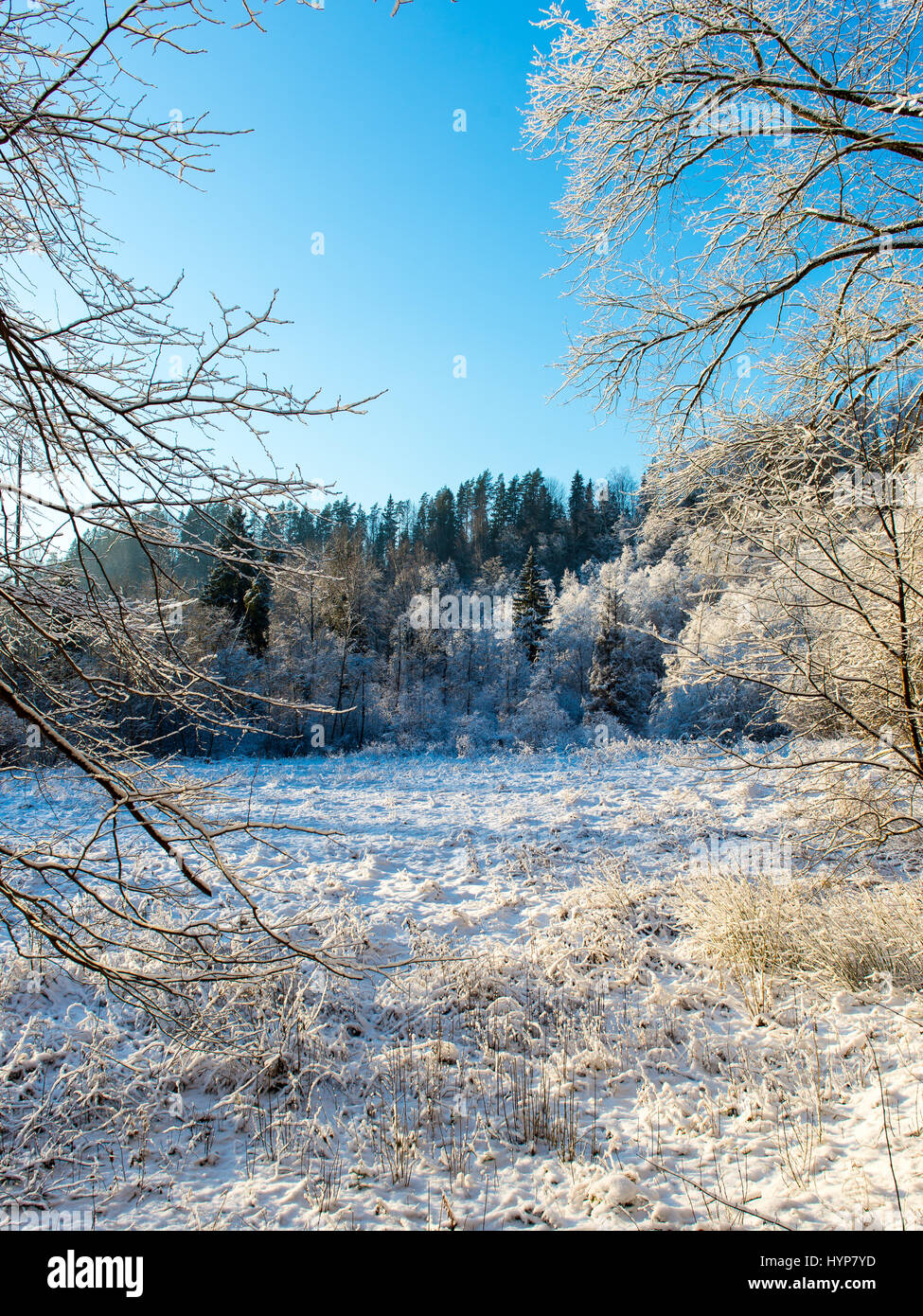 snowy winter landscape with snow covered trees and blue sky Stock Photo ...