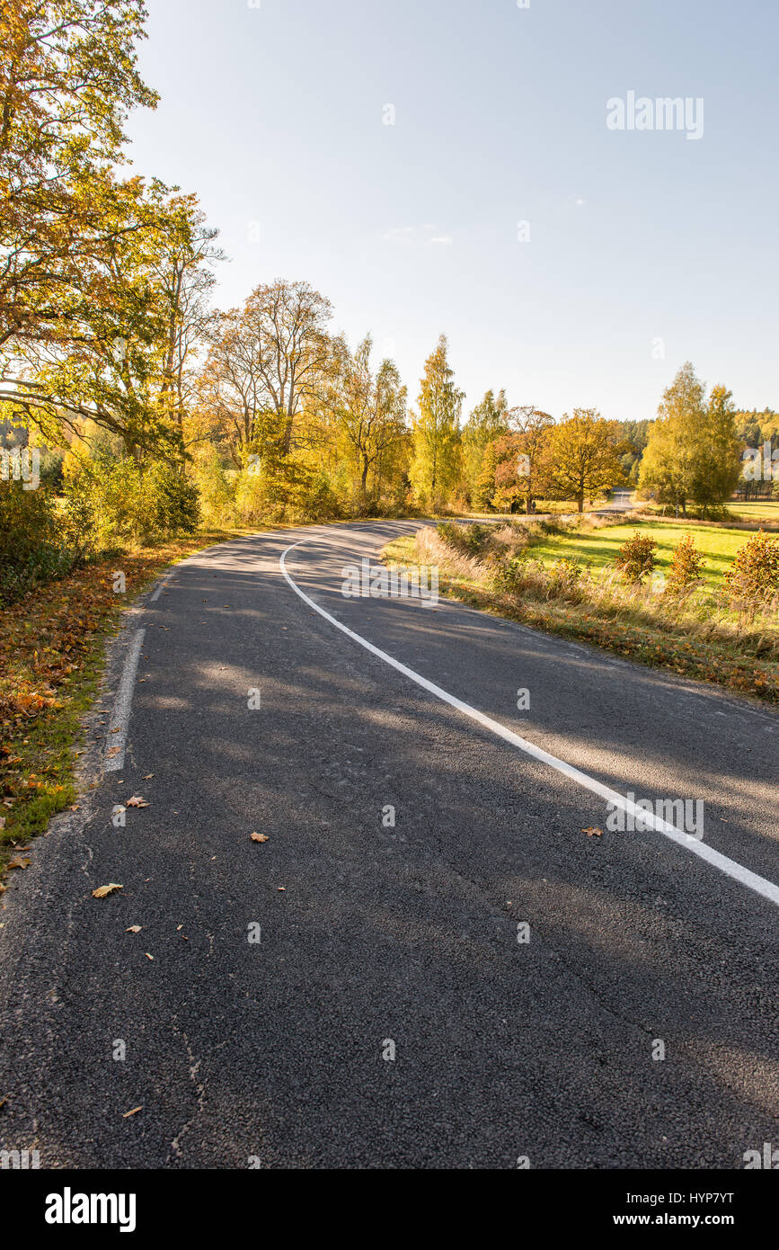 empty road in the countryside with trees in surrounding. perspective in ...