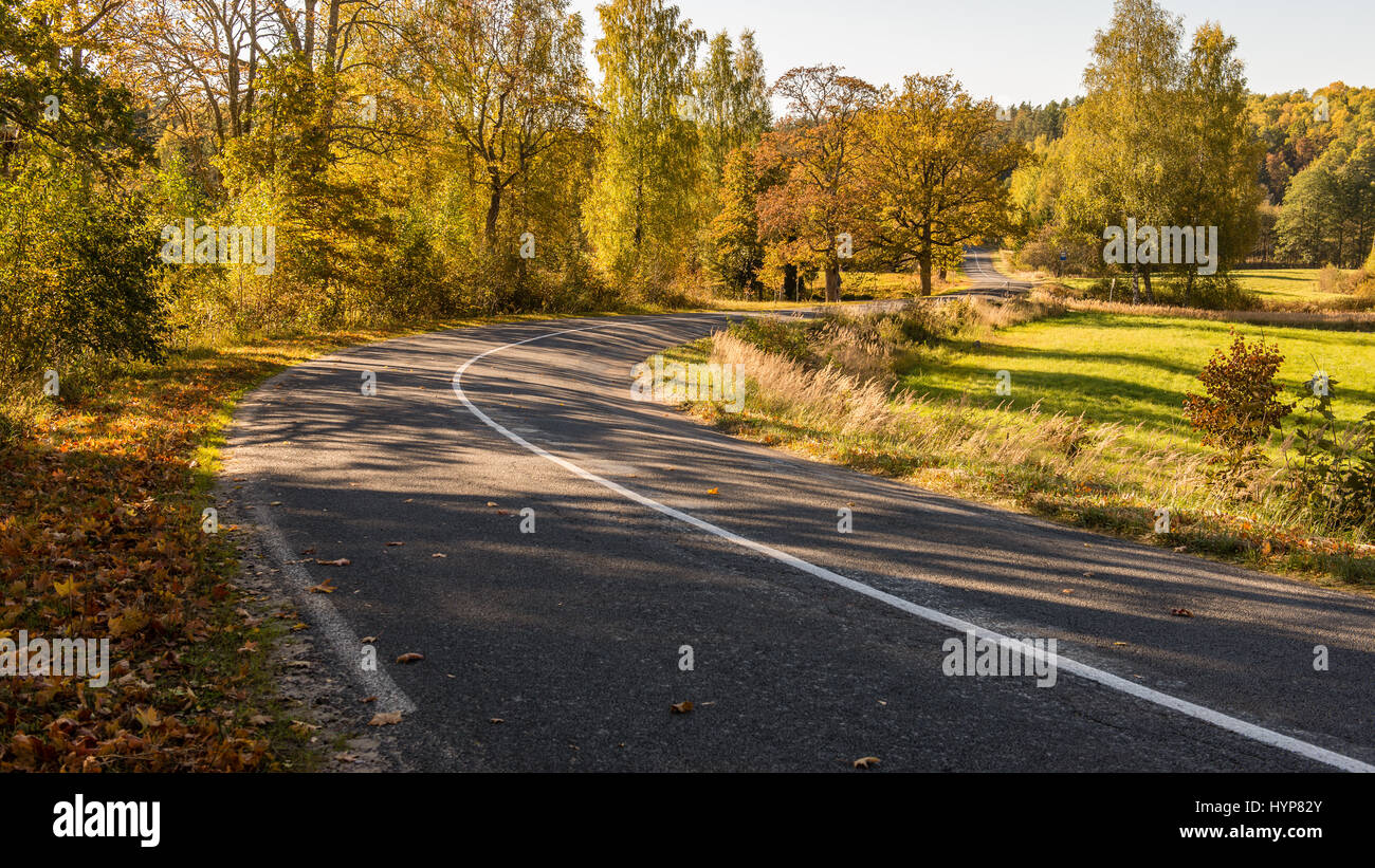 empty road in the countryside with trees in surrounding. perspective in ...