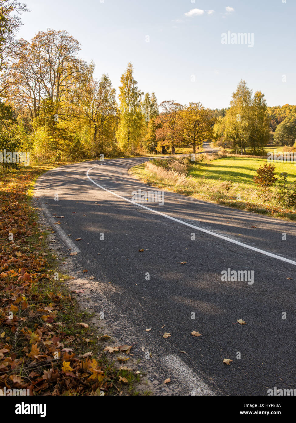 empty road in the countryside with trees in surrounding. perspective in ...