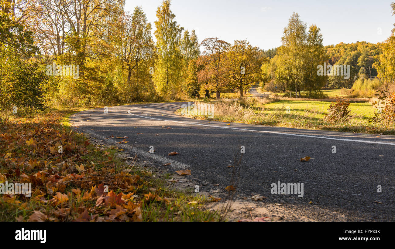 empty road in the countryside with trees in surrounding. perspective in ...