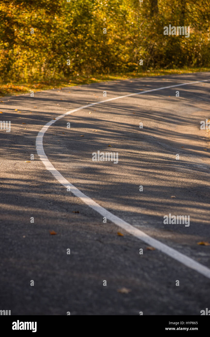 empty road in the countryside with trees in surrounding. perspective in ...