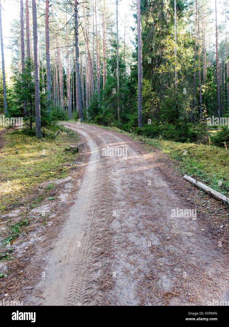 empty road in the countryside with trees in surrounding. perspective in ...
