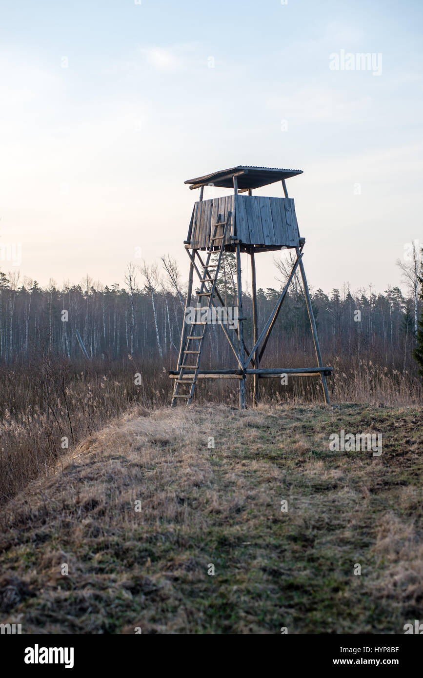 beautiful spring landscape with watchtower in forest and blue sky Stock ...