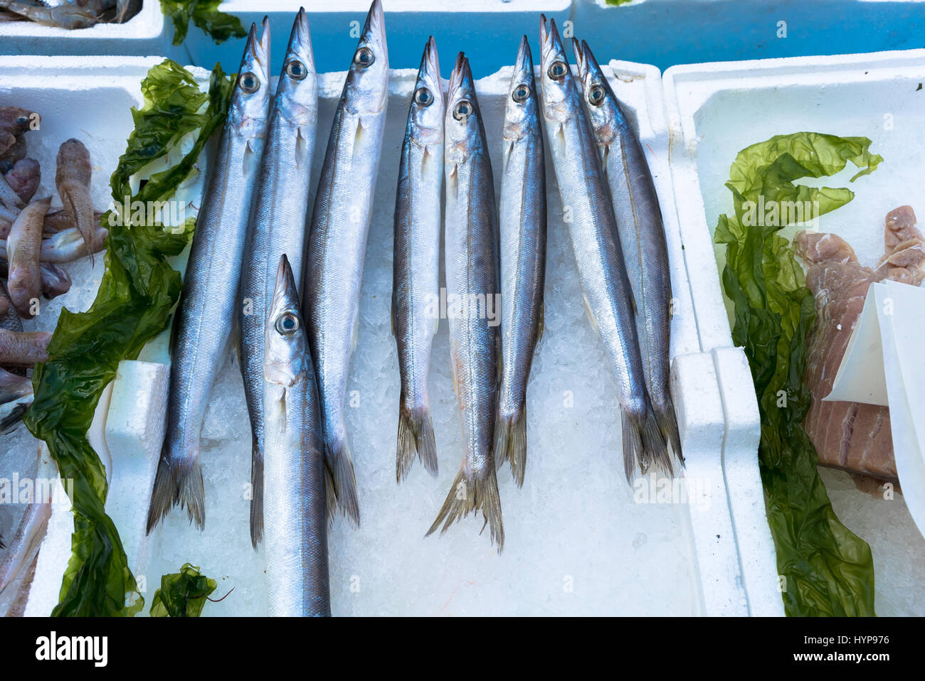 Garfish on the fish market. Napoli, Italy Stock Photo - Alamy