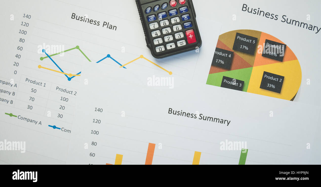 Business summary or Business plan report with Charts and graphs in ...