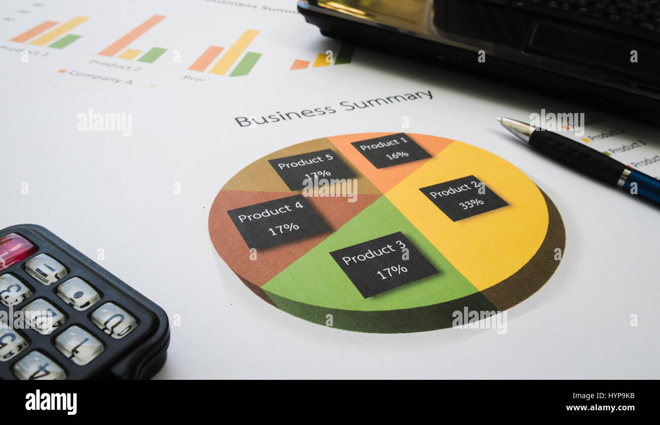 Business summary or Business plan report with Charts and graphs in ...