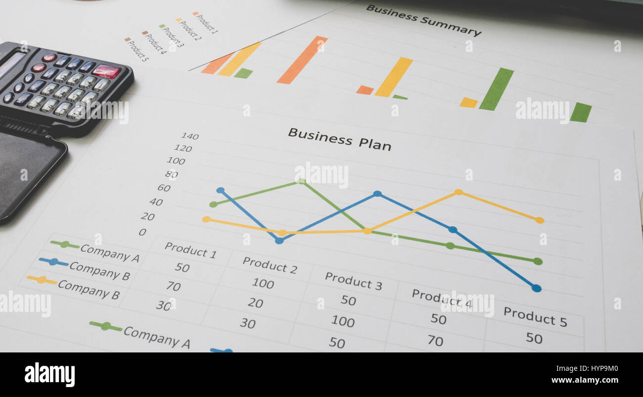 Business summary or Business plan report with Charts and graphs in ...