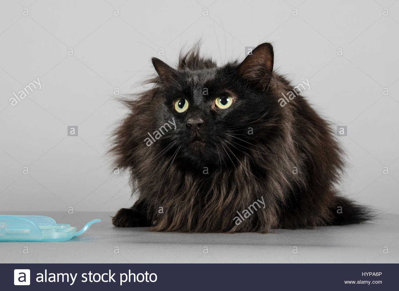 Food Tupperware Stock Photos & Food Tupperware Stock Images - Alamy