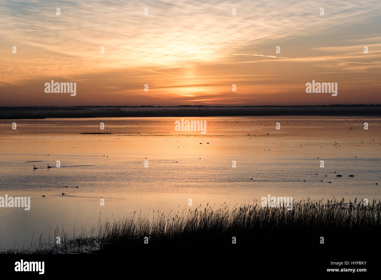 beautiful sunrise over country lake with orange clouds and reflections ...