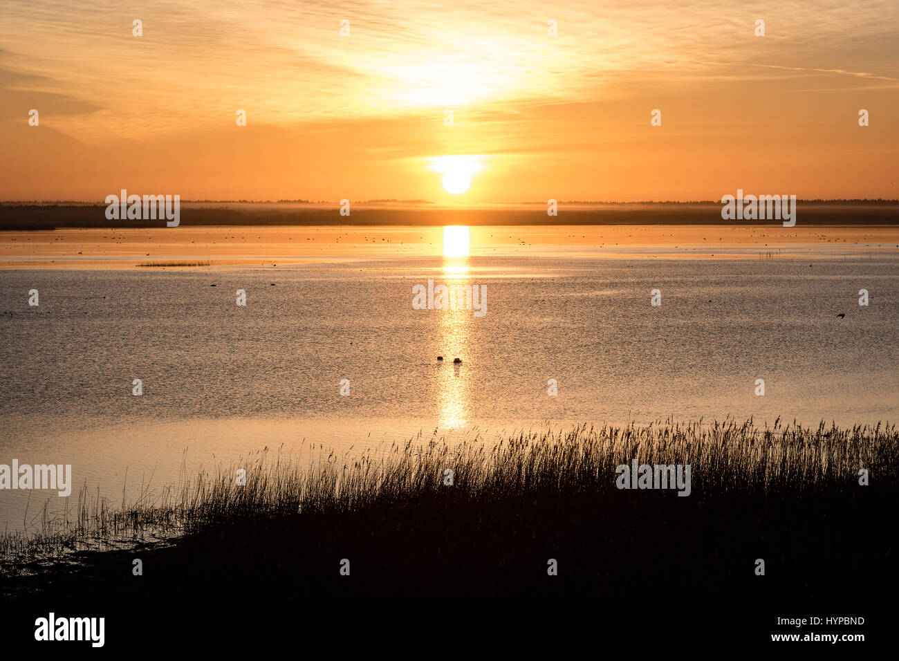 beautiful sunrise over country lake with orange clouds and reflections ...