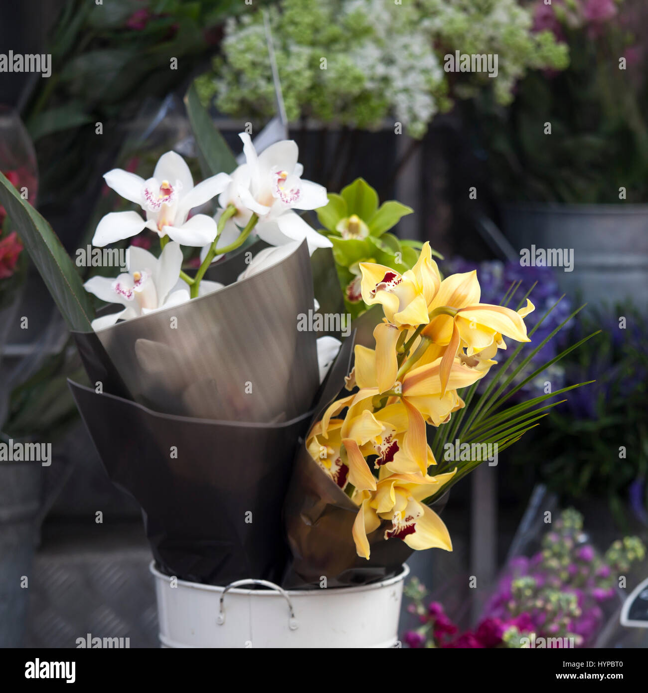 Yellow, white and green orchids in a white bucket for sale at the ...