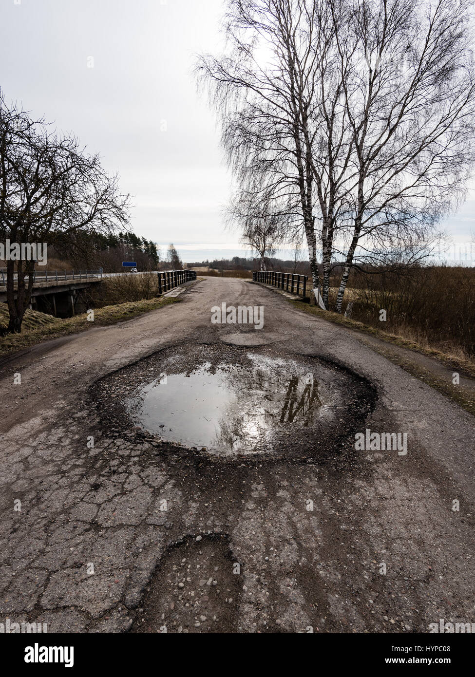 empty country road in spring forest with perspective and shadows Stock ...