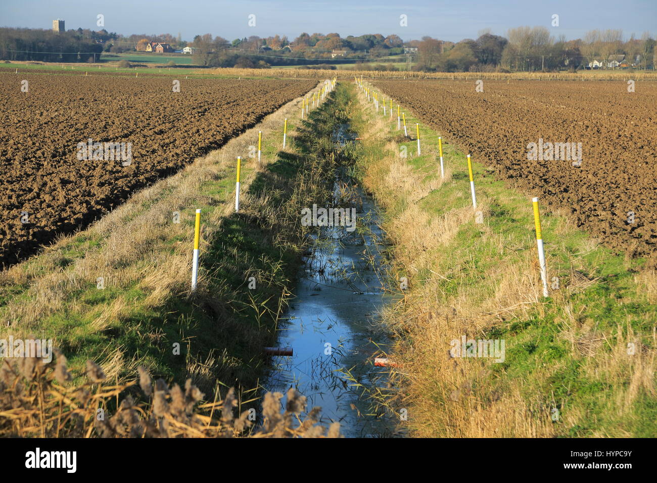 Reclaimed marshland hi-res stock photography and images - Alamy