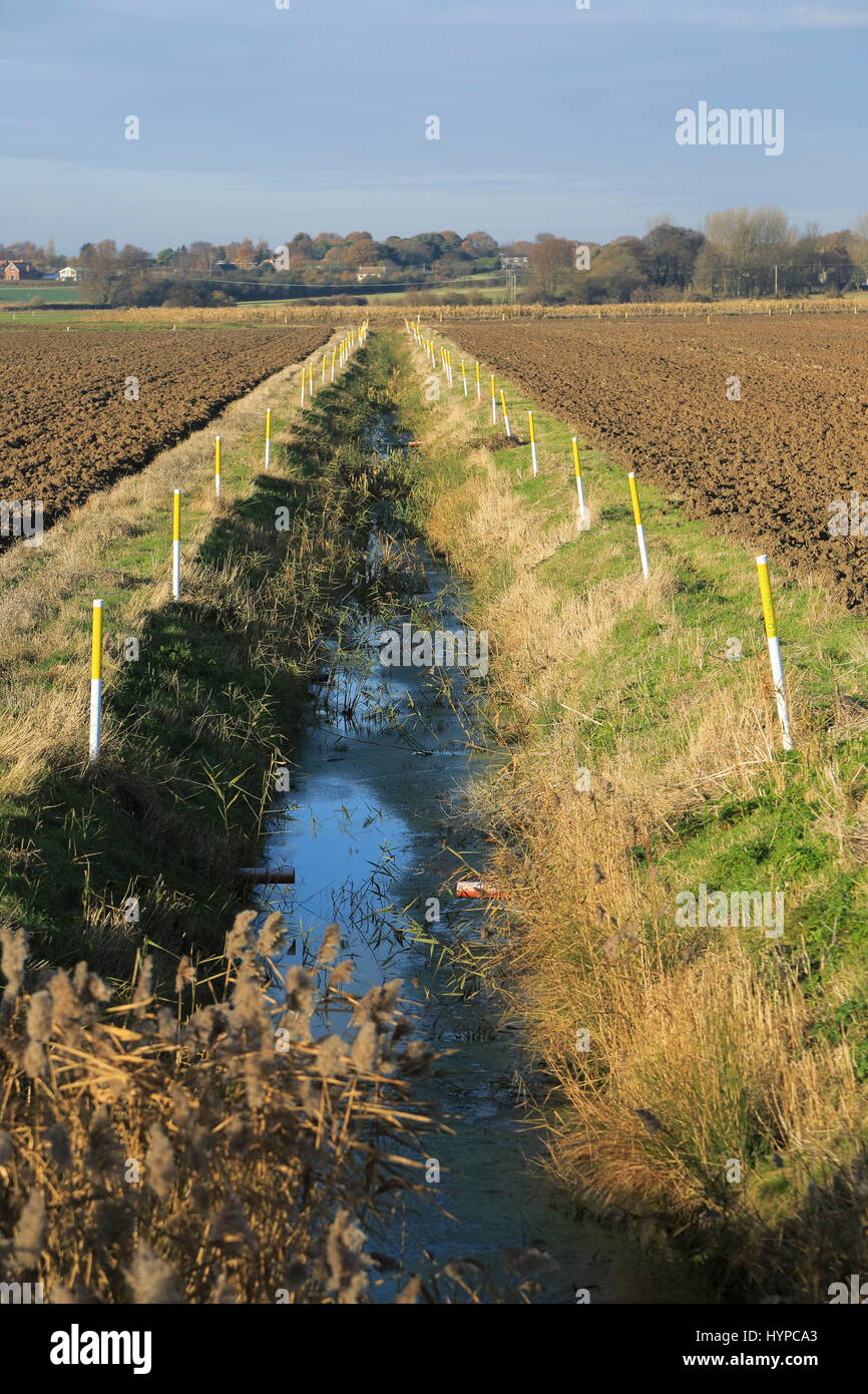 Reclaimed marshland hi-res stock photography and images - Alamy
