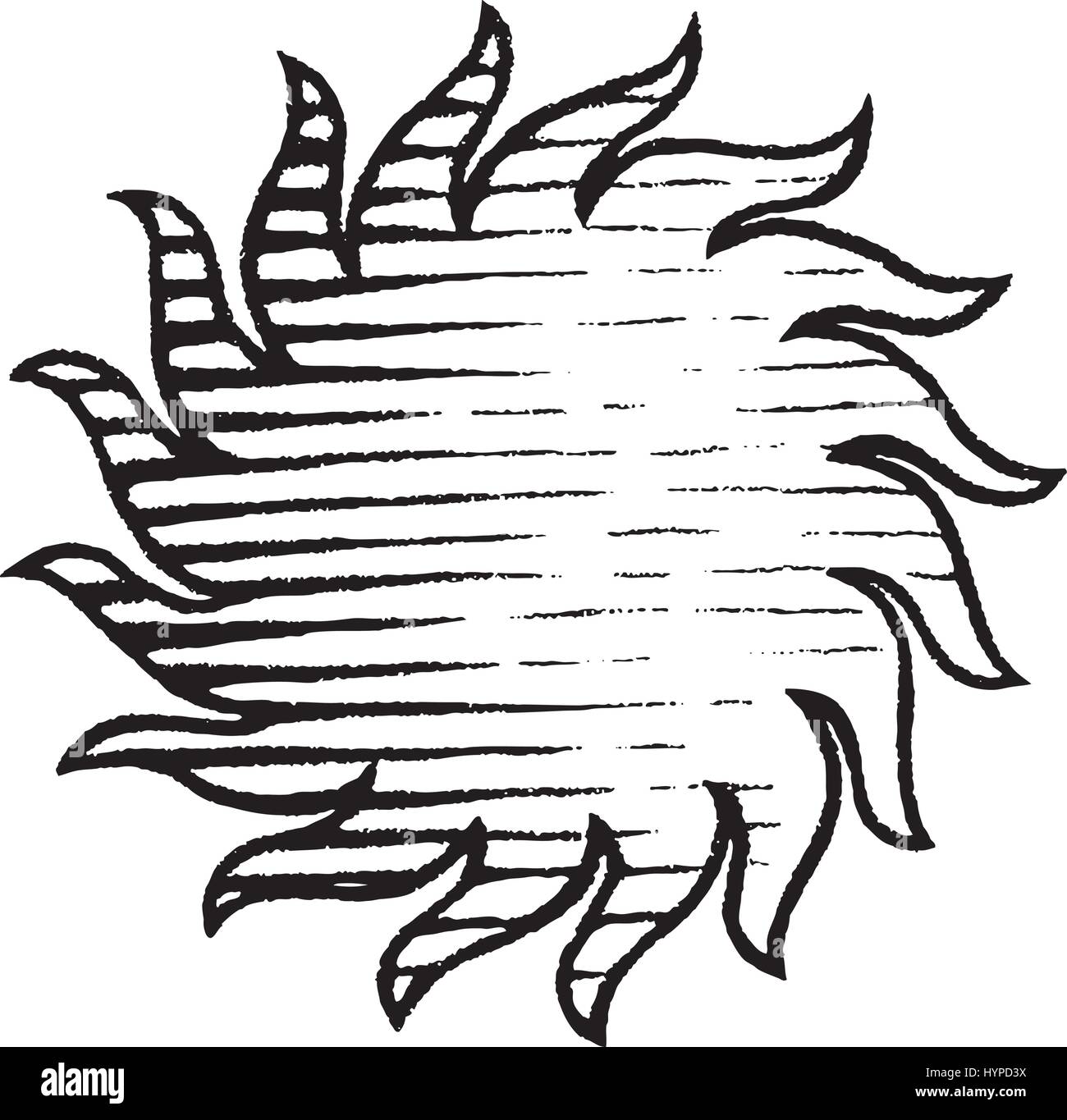 Vector Illustration of a Scratchboard Style Ink Drawing of Sun Stock ...