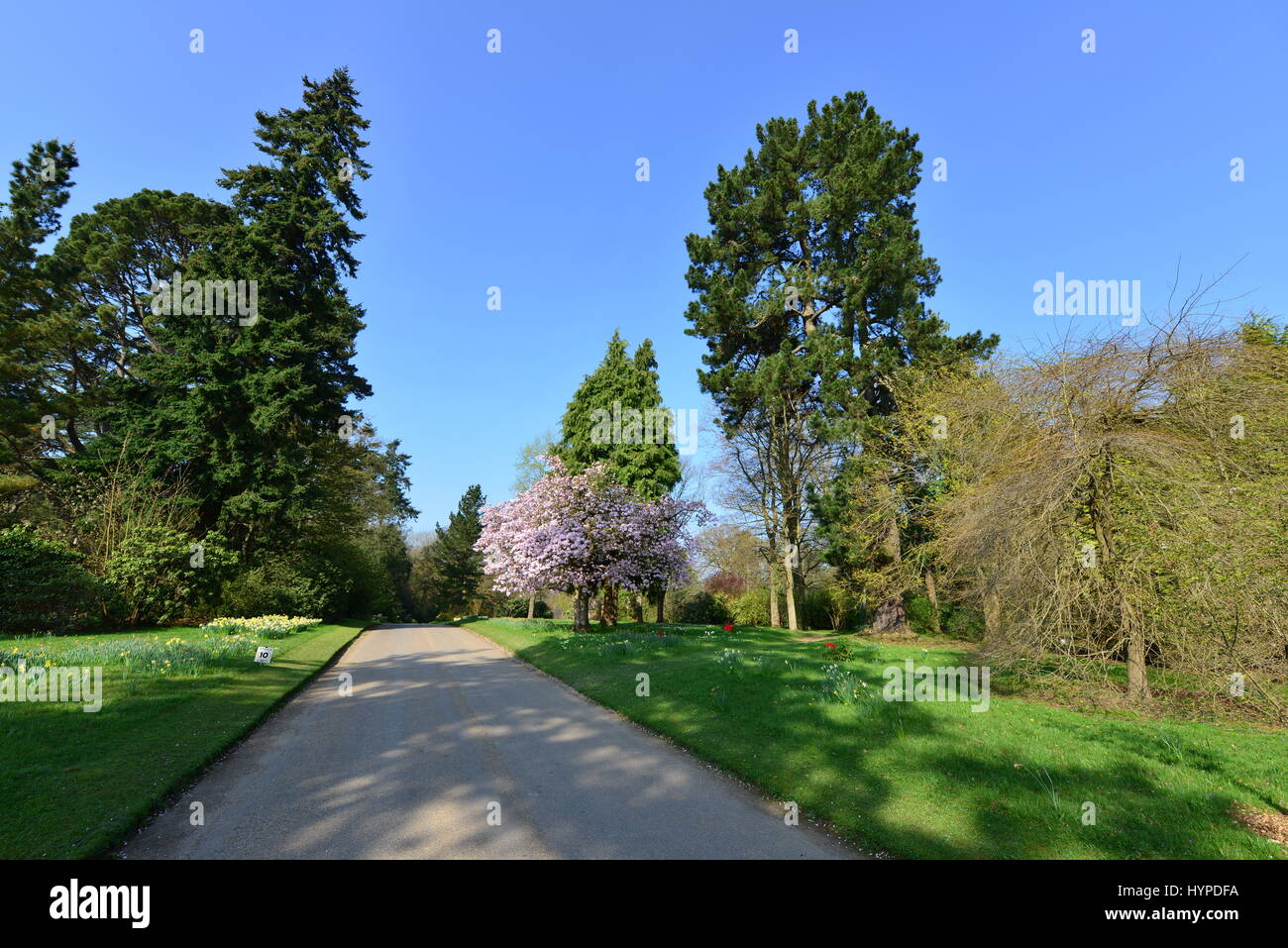 The gardens of an English country estate in Springtime Stock Photo - Alamy