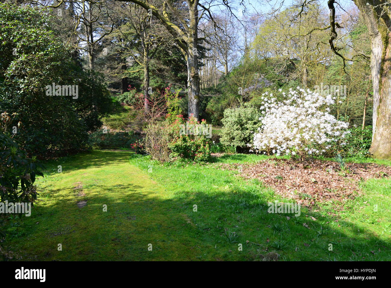 The gardens of an English country estate in Springtime Stock Photo - Alamy
