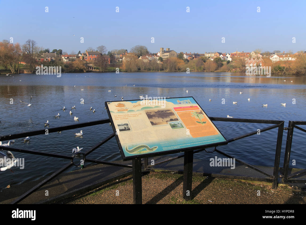 The Mere lake pond at Diss, Norfolk, England, UK Stock Photo - Alamy