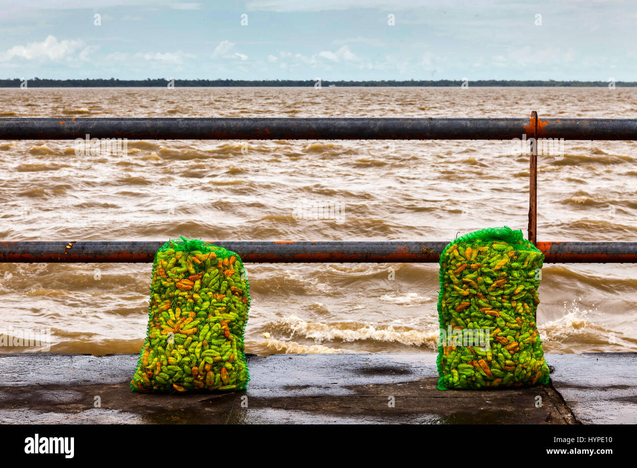 South America, Amazon, Belem, chillies in bags along the Amazon river ...