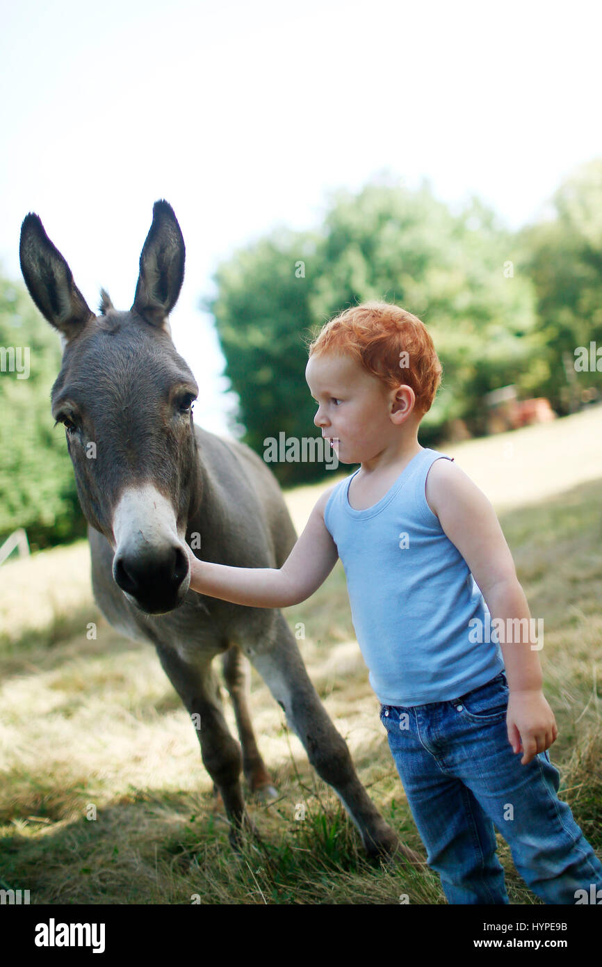 Boy donkey child hi-res stock photography and images - Alamy