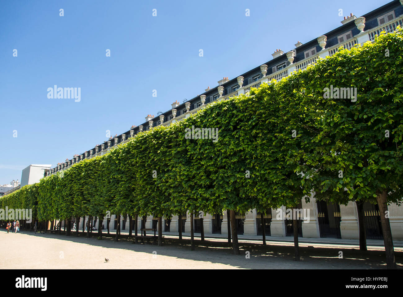 La France. The garden of the Royal Palace, Paris 75001 and its ...