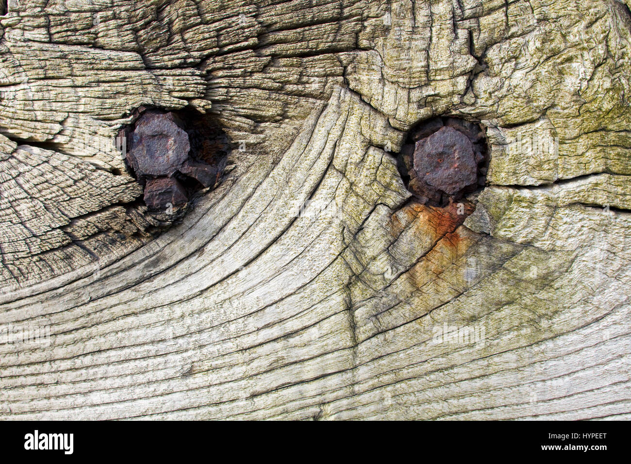 Rusted bolts in the piece of bolt of a buffer Stock Photo - Alamy